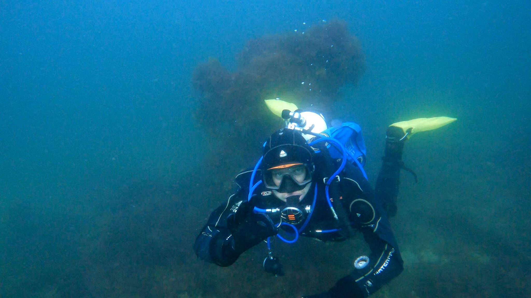 Dykkertur til "korallerne" og freja - Nord Dyk