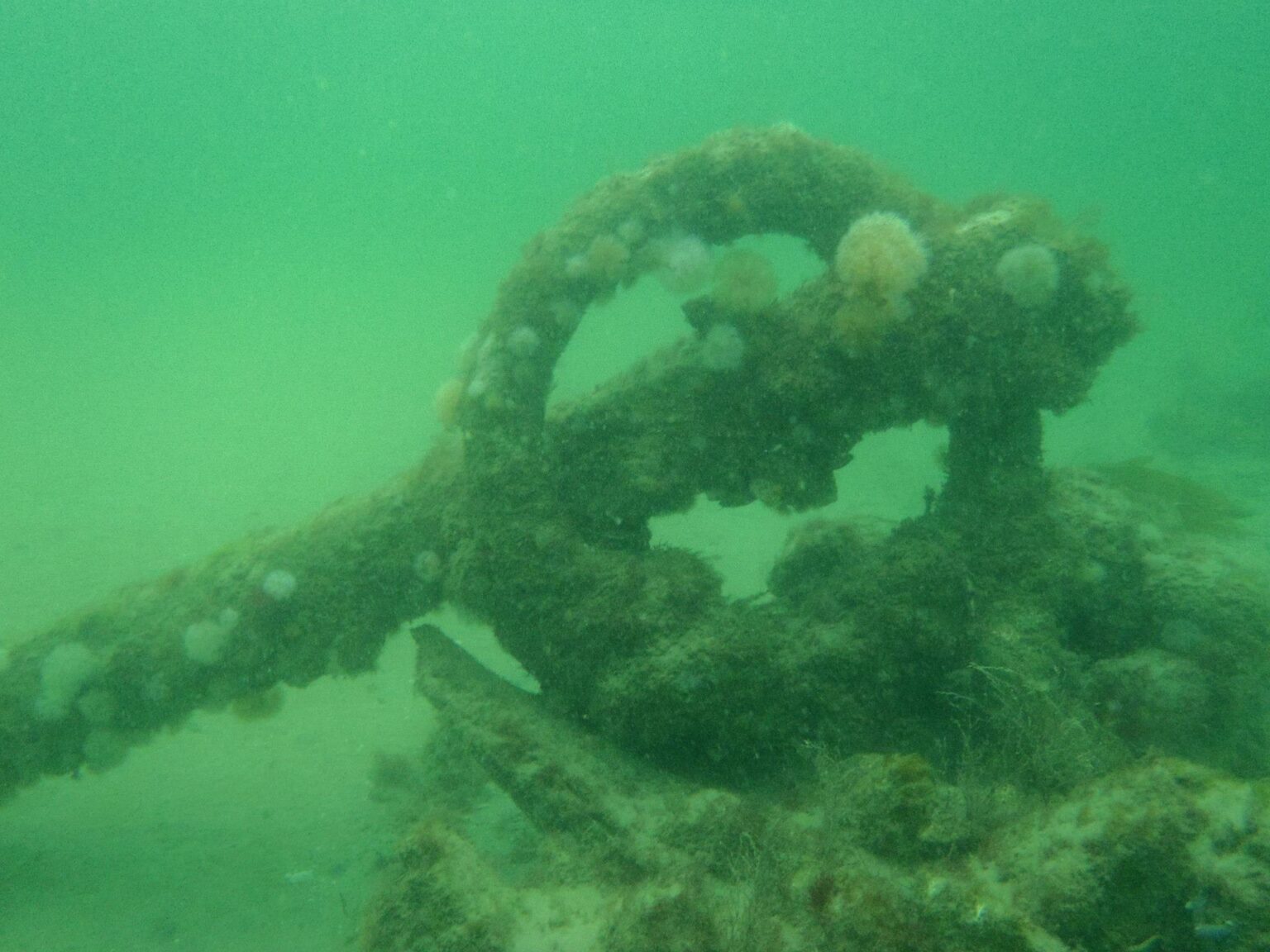 Lægvands dyk på vestkysten - Nord Dyk
